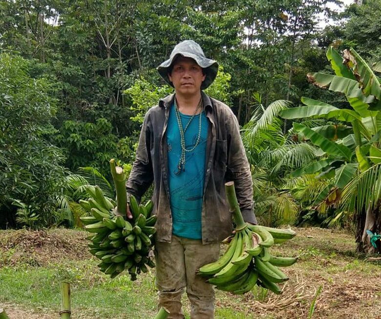 Indigenous agents use drones and AI to fight deforestation in the ...